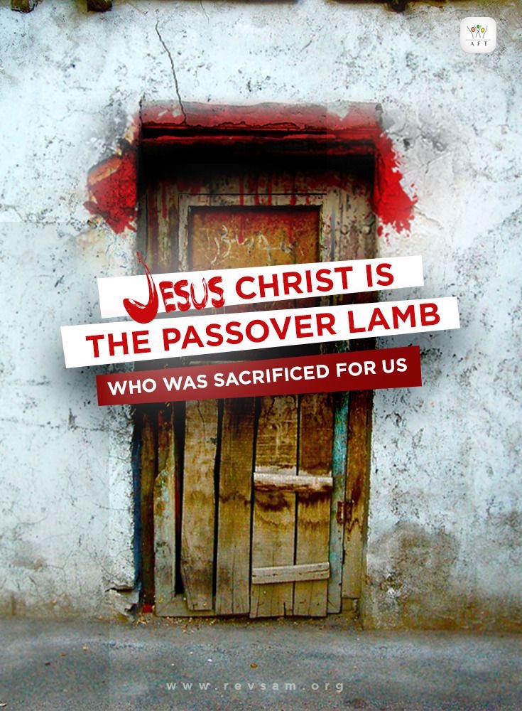 Passover Lamb Door