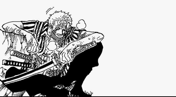 Zoro Roronoa Time Skip