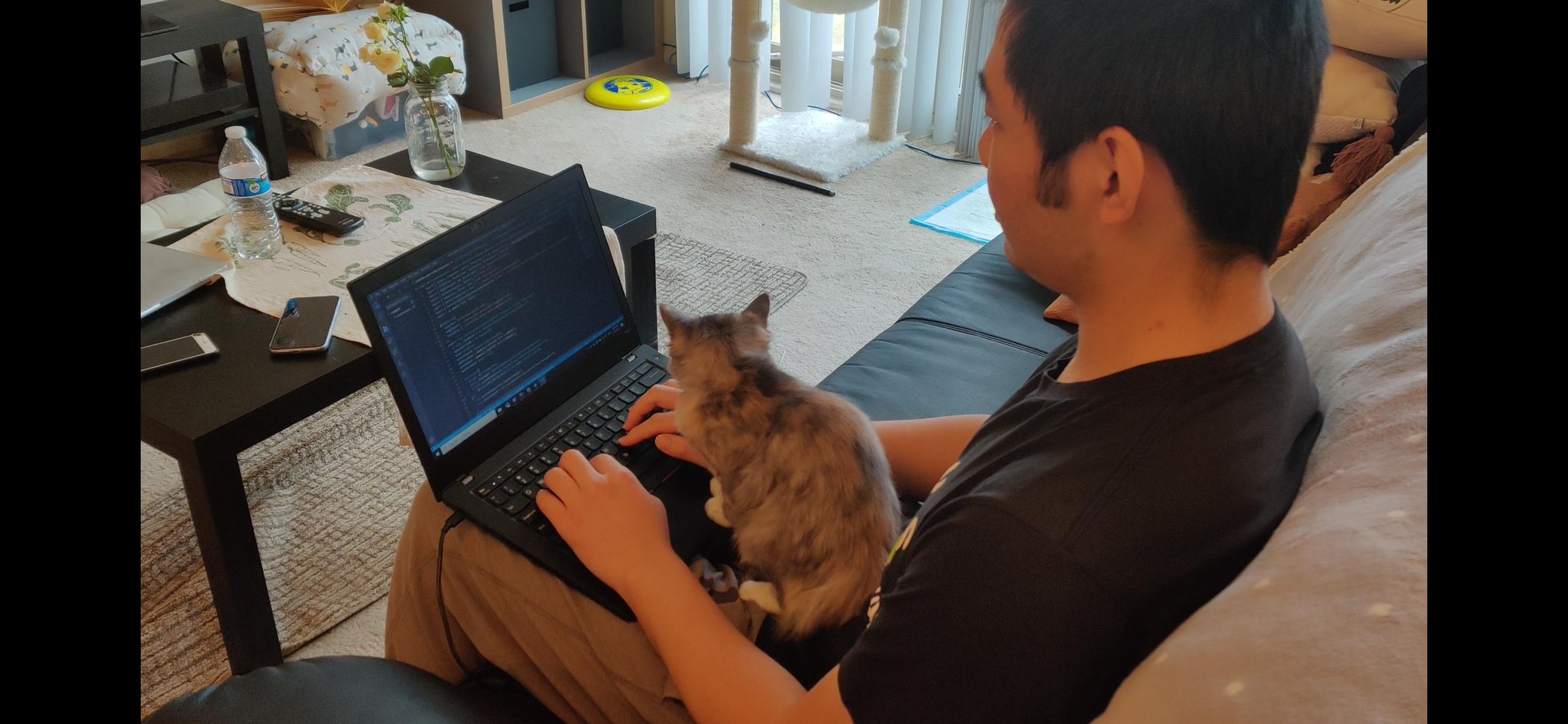 Logic Solutions, Inc on Twitter: "As we work from home, one of our team members has employed the ...