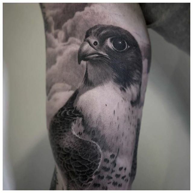 Falcon Tattoo Design