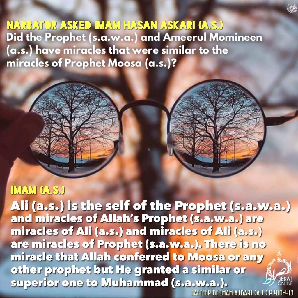 Miracles Of Allah Tree