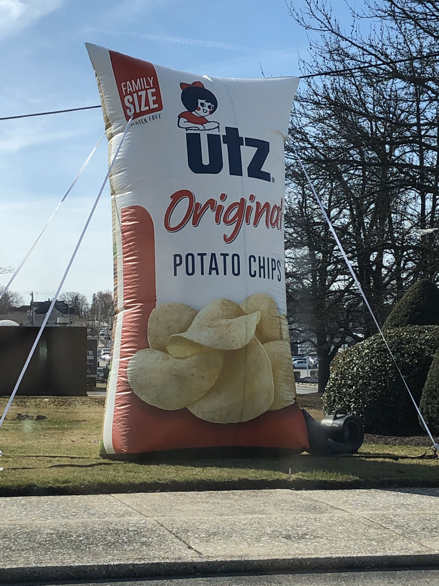 Potato Chips Bag Size