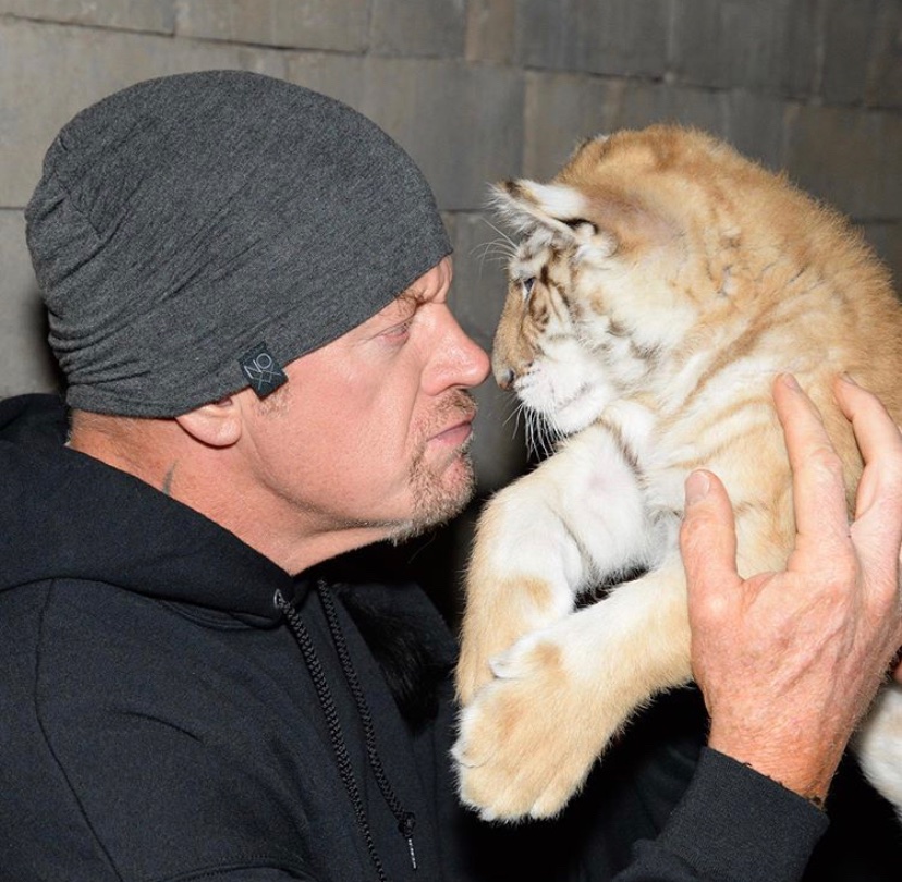 Undertaker As A Baby