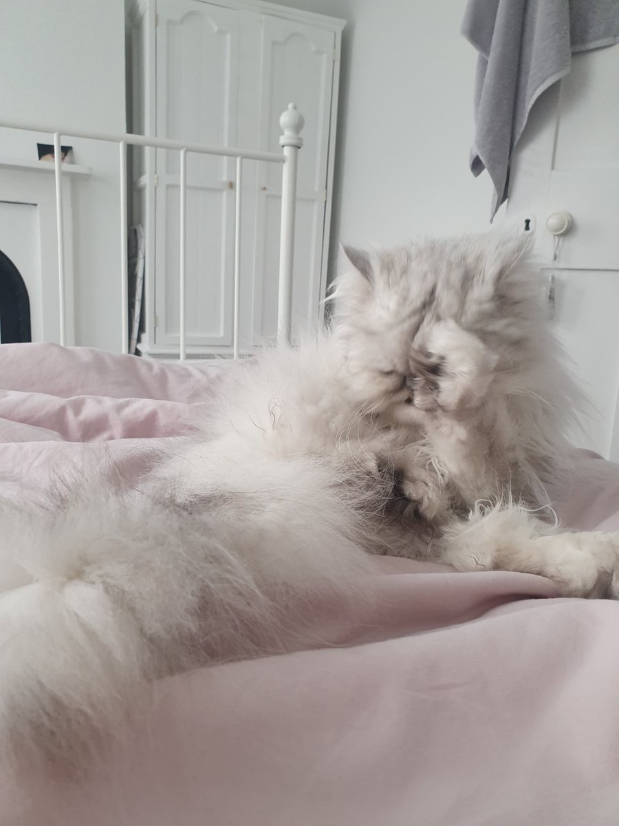 Wilfred Warrior @wilfred_warrior Timeline, The Visualized Twitter ...