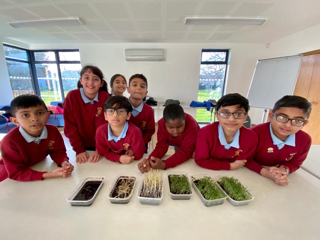 Barham Primary School - Home