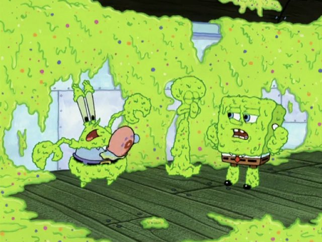 Spongebob Feeding Gary Spongebob Feeding Gary