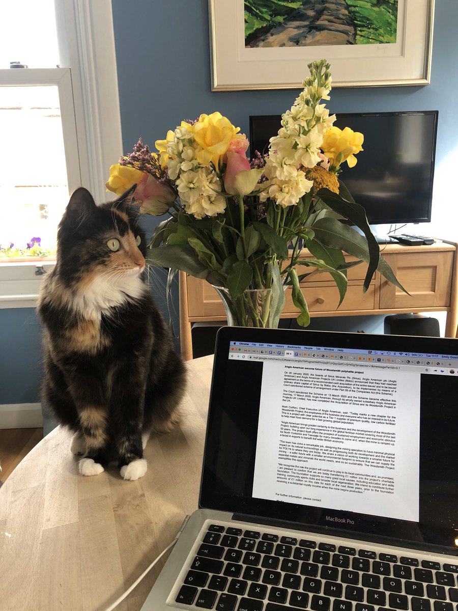 Introducing the newest member of The Times natural resources team. Her ...