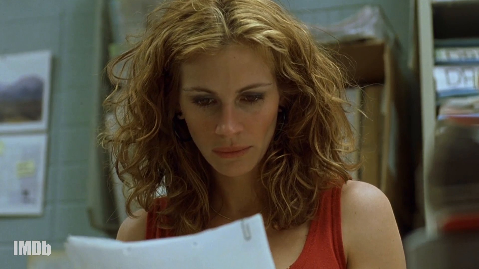 Julia Roberts As Erin Brockovich