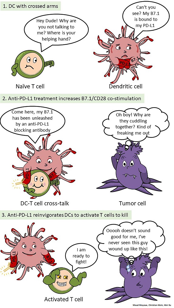 Dendritic Cell Cartoon