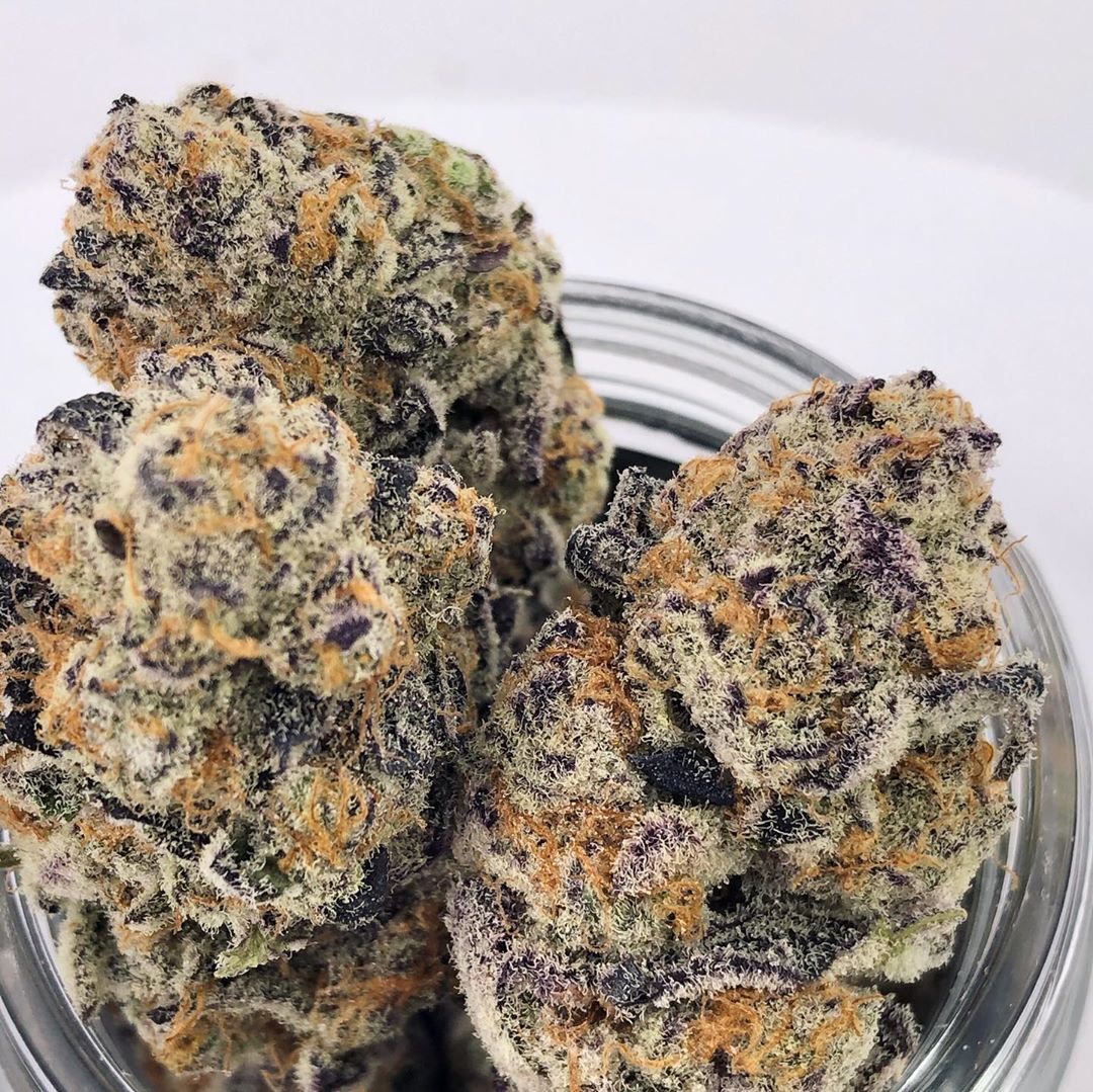 Purple Wizard Strain