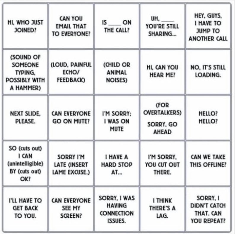 Conference Call Humor