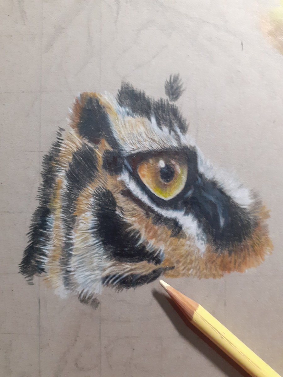 yn (@ArtsPlyn) さんのイラスト・マンガ作品まとめ (8 件) - Twoucan