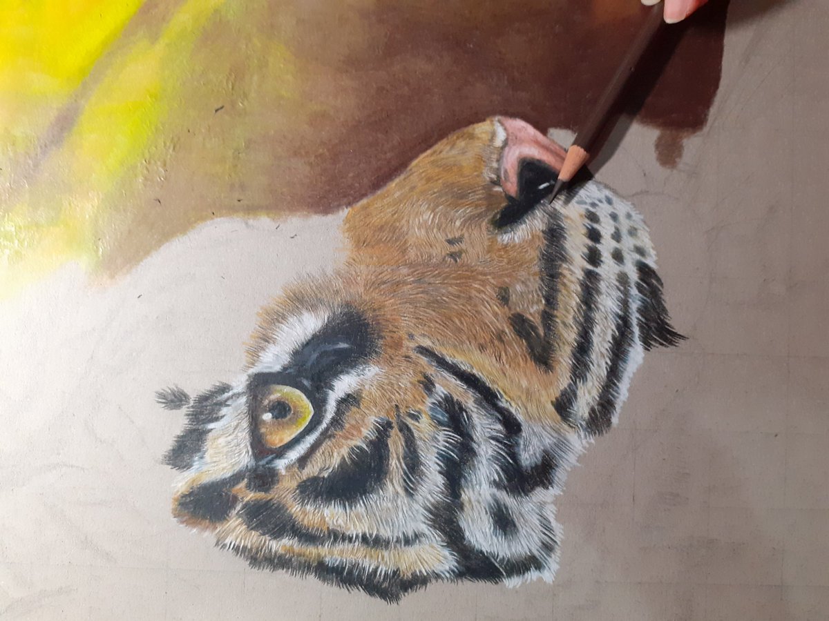 yn (@ArtsPlyn) さんのイラスト・マンガ作品まとめ (8 件) - Twoucan