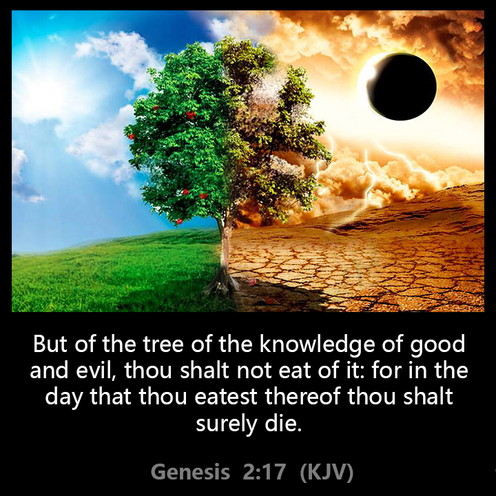 Tree Of Knowledge Of Good And Evil