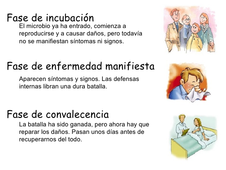 antártico transmitir Bienes diversos cuales son las fases de una ... antártico transmitir Bienes diversos cuales son las fases de una ...