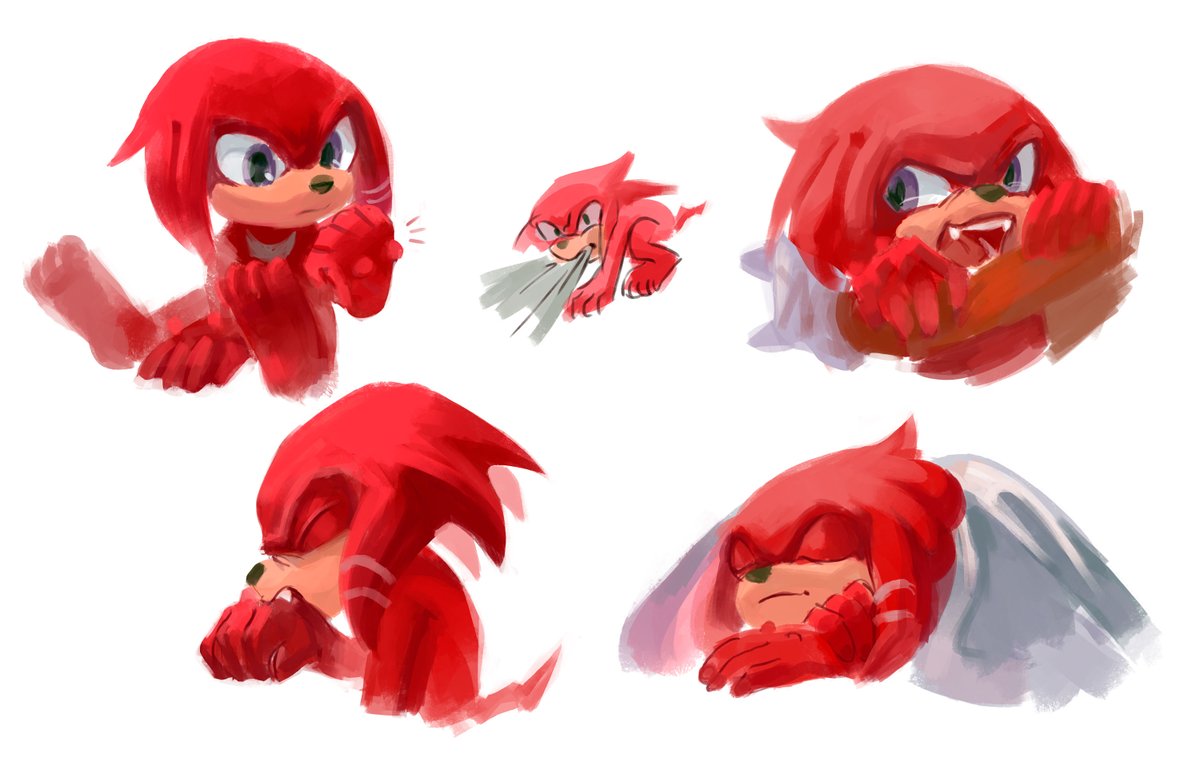 Baby Knuckles The Echidna