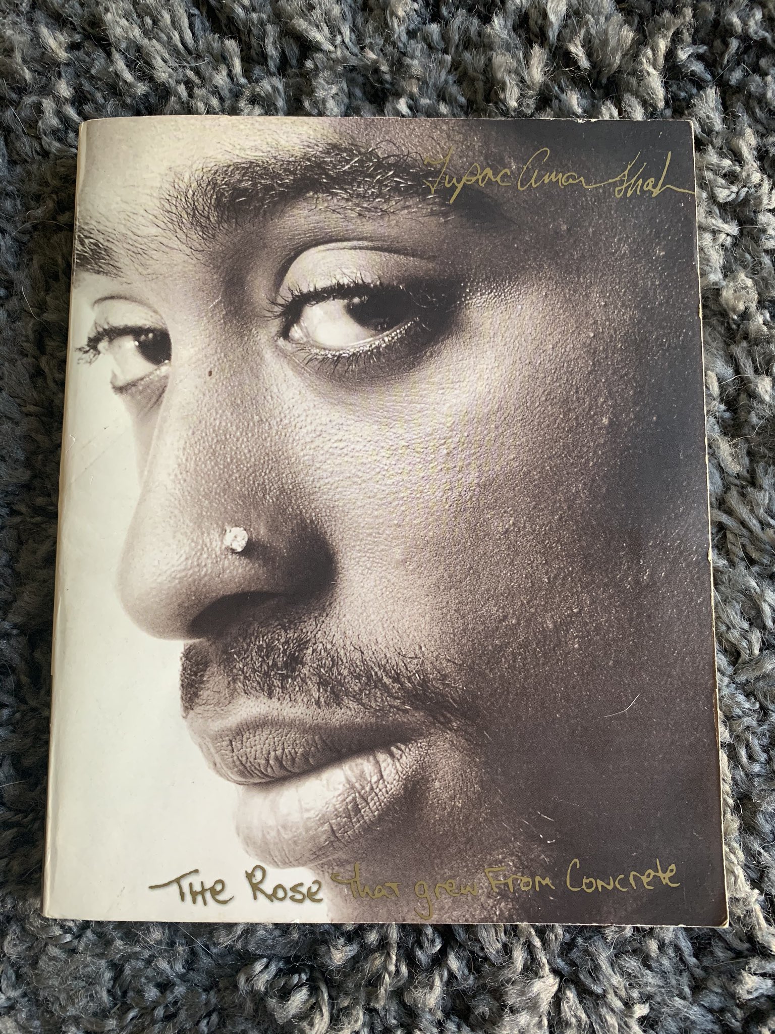 The Rose That Grew From Concrete Book