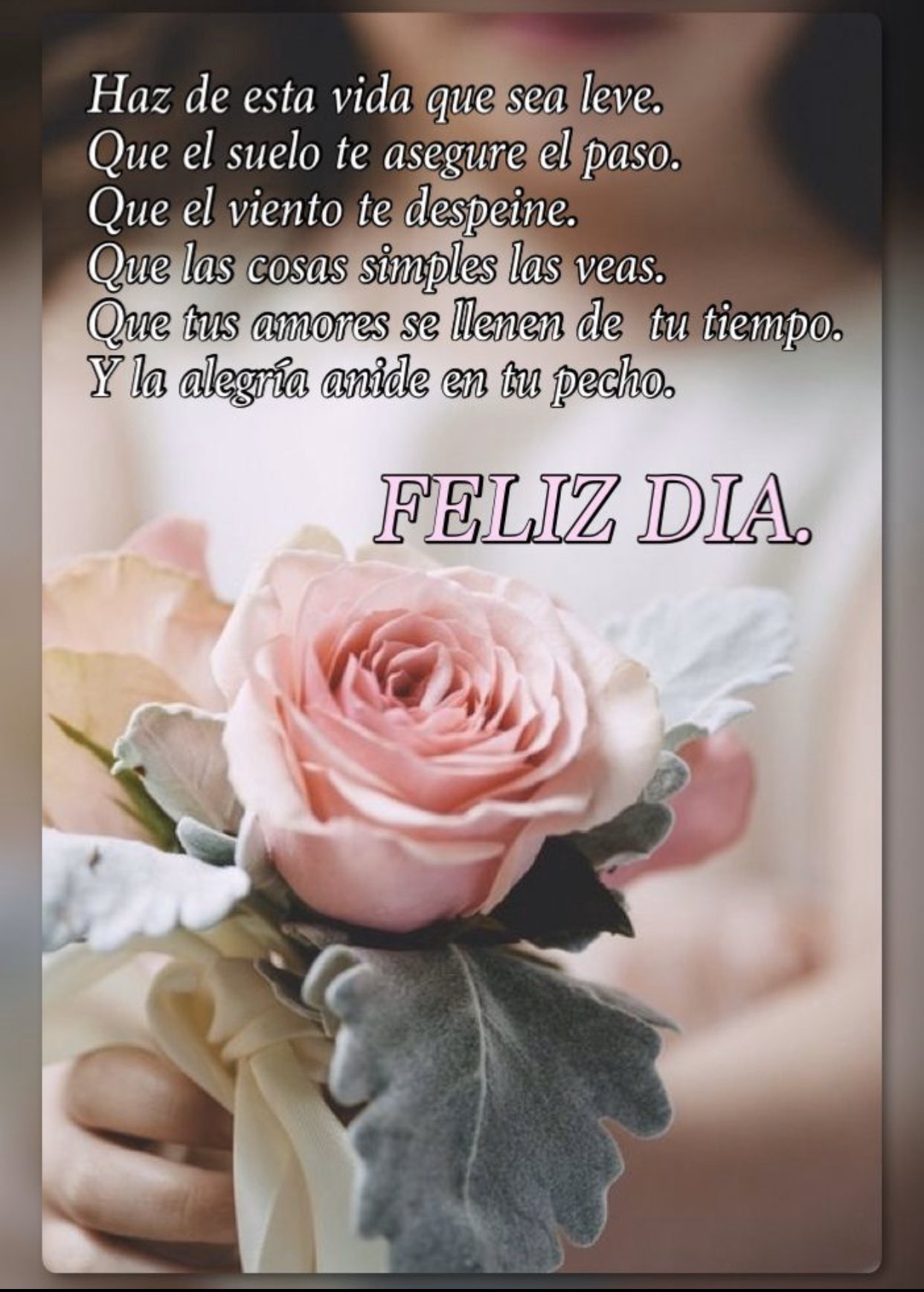 Feliz Día De Las Madres Prima Feliz Dia De Las Madres GIFs | Tenor