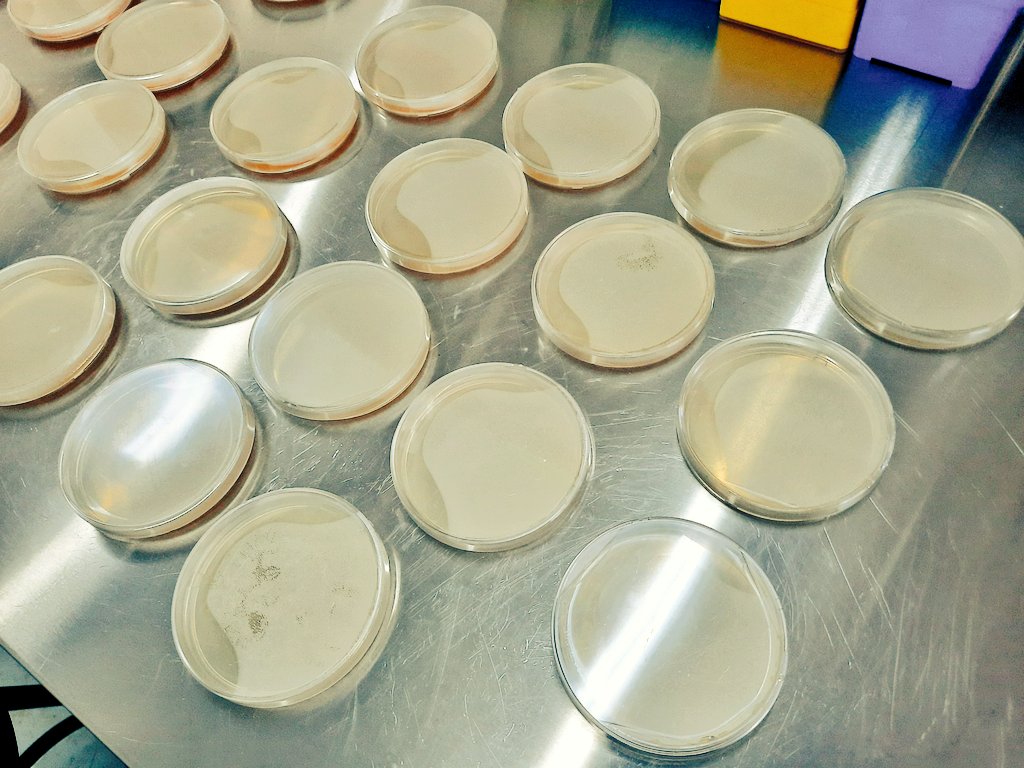 Patho Solutions (@PathoSolutions) | Twitter