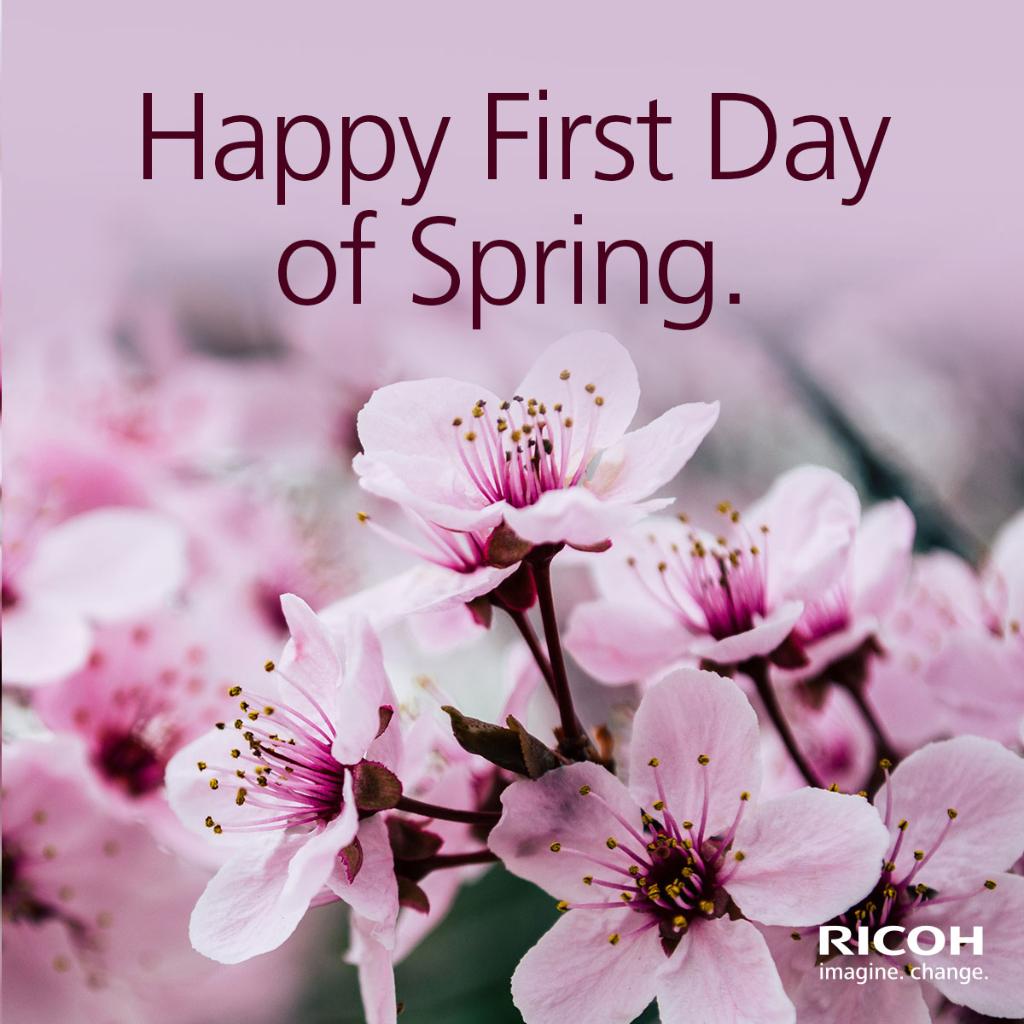 Happy First Day Of Spring Quotes Happy First Day Of Spring Quotes