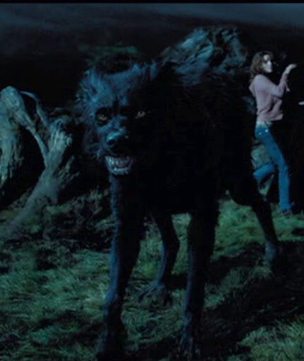 Harry Potter Prisoner Of Azkaban Werewolf