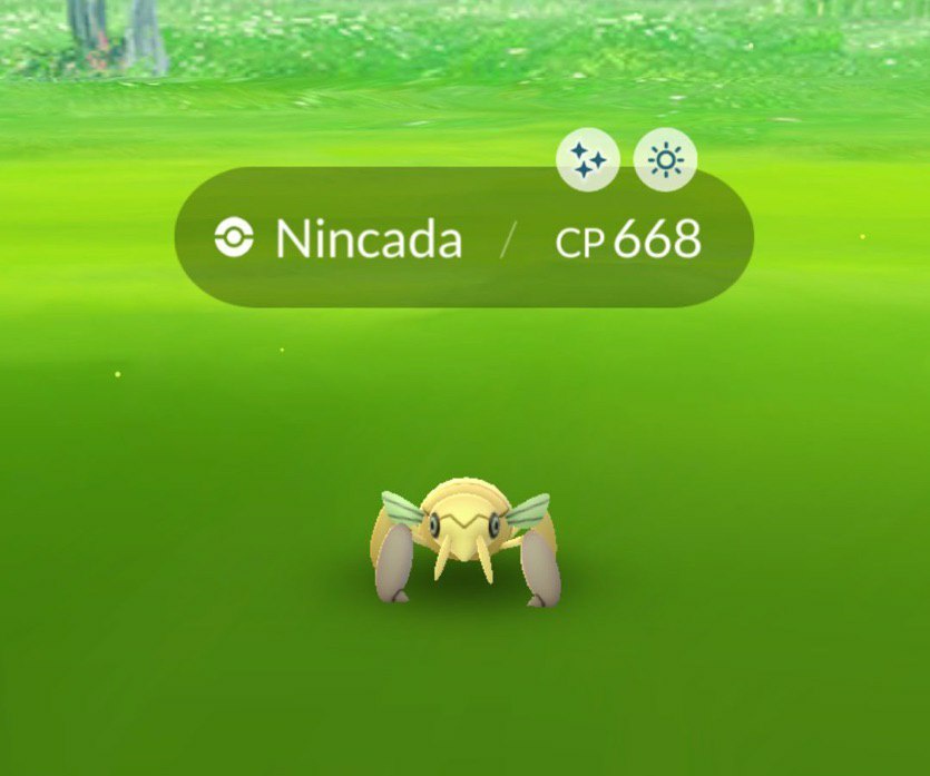 Pokemon Nincada