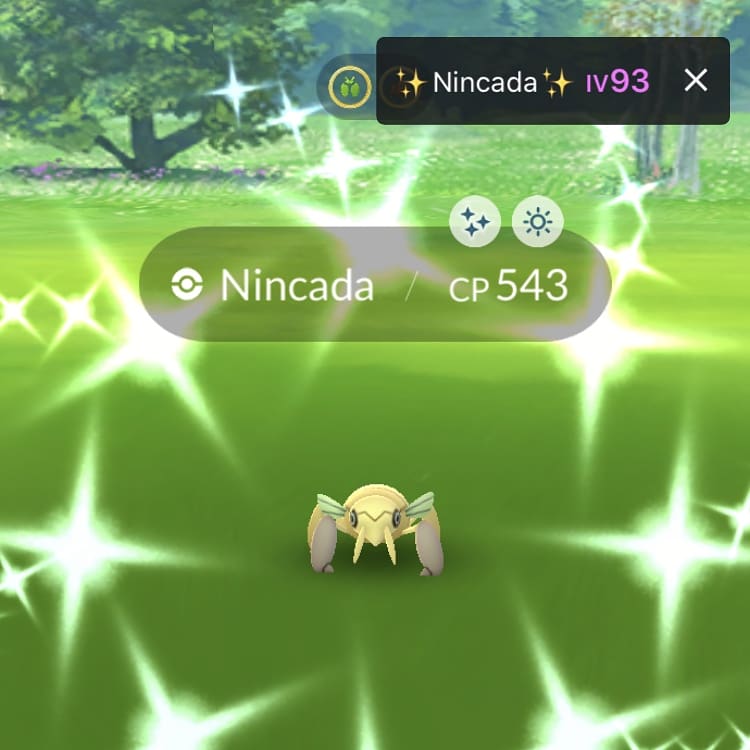 Nincada Evolve