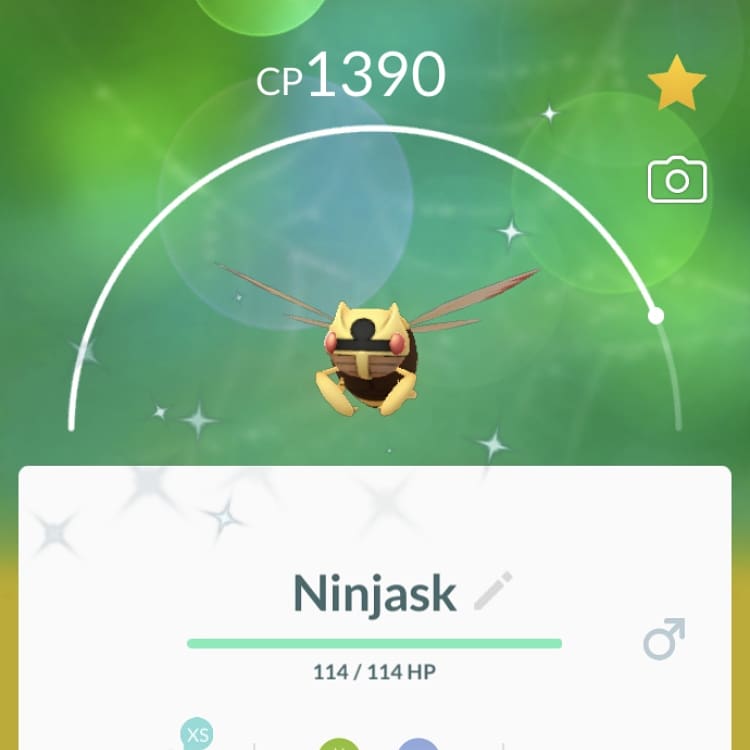 Shiny Ninjask Sprite