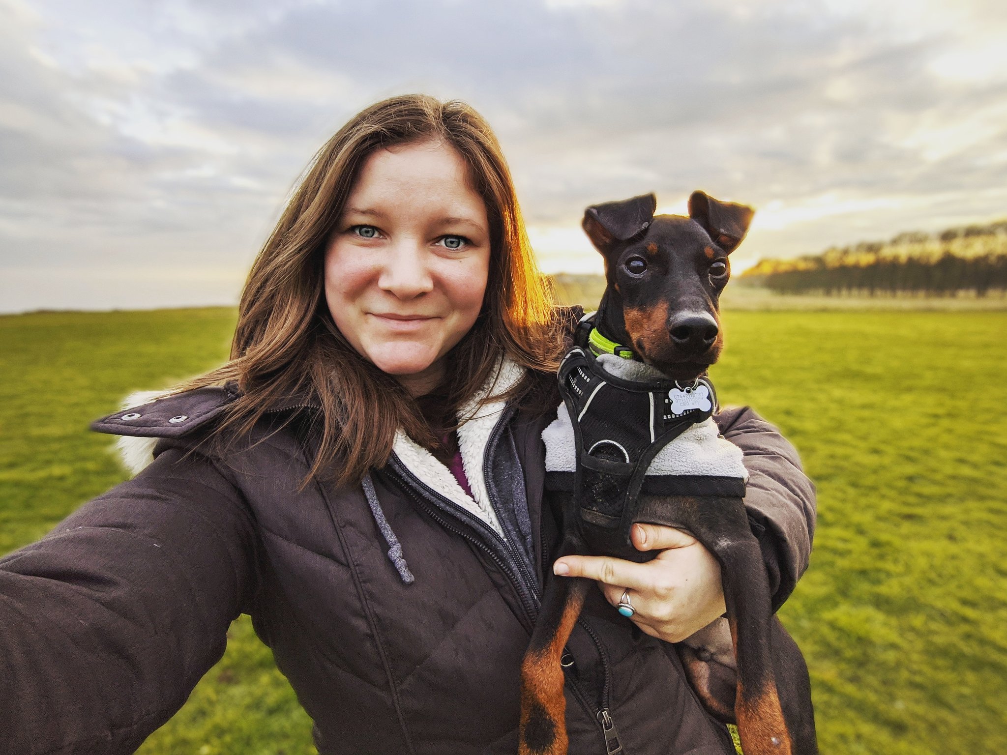 Lottie Gross on Twitter: "Milo has a horrible kidney disease and 10 days ago he seemed ready to ...