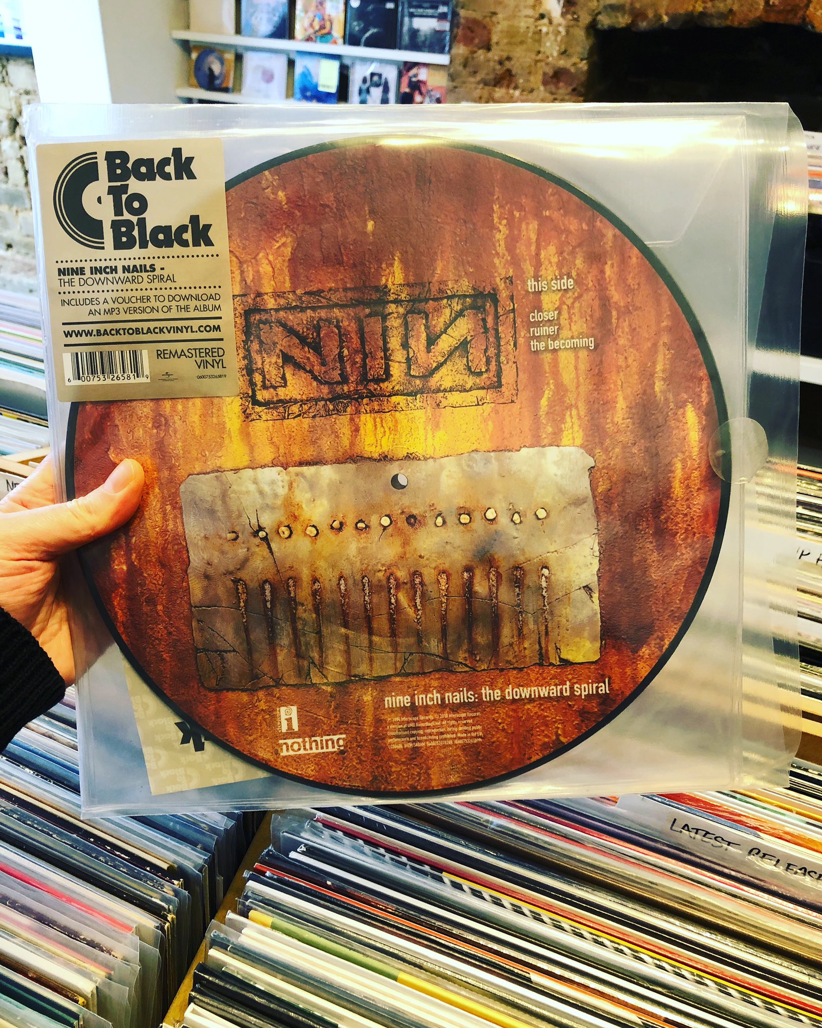 Nin 3 Inch Disc