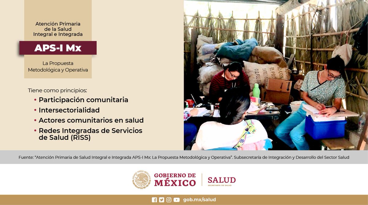 Atención Primaria de Salud Integral e Integrada APS-I Mx: La Propuesta ...