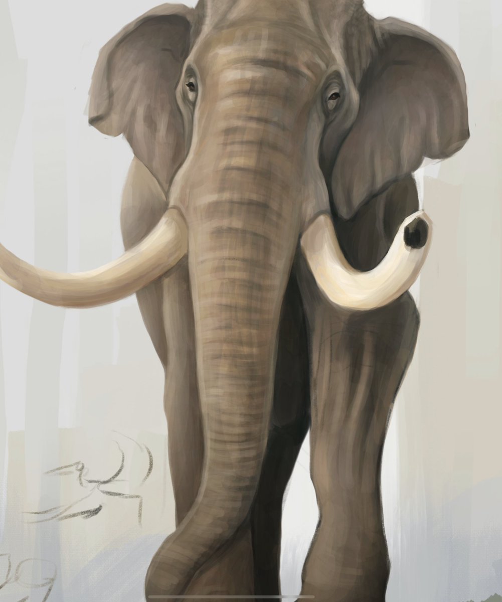 Cameron Dillon (@Cam_ornitho) さんのイラスト・マンガ作品まとめ (4 件) - Twoucan