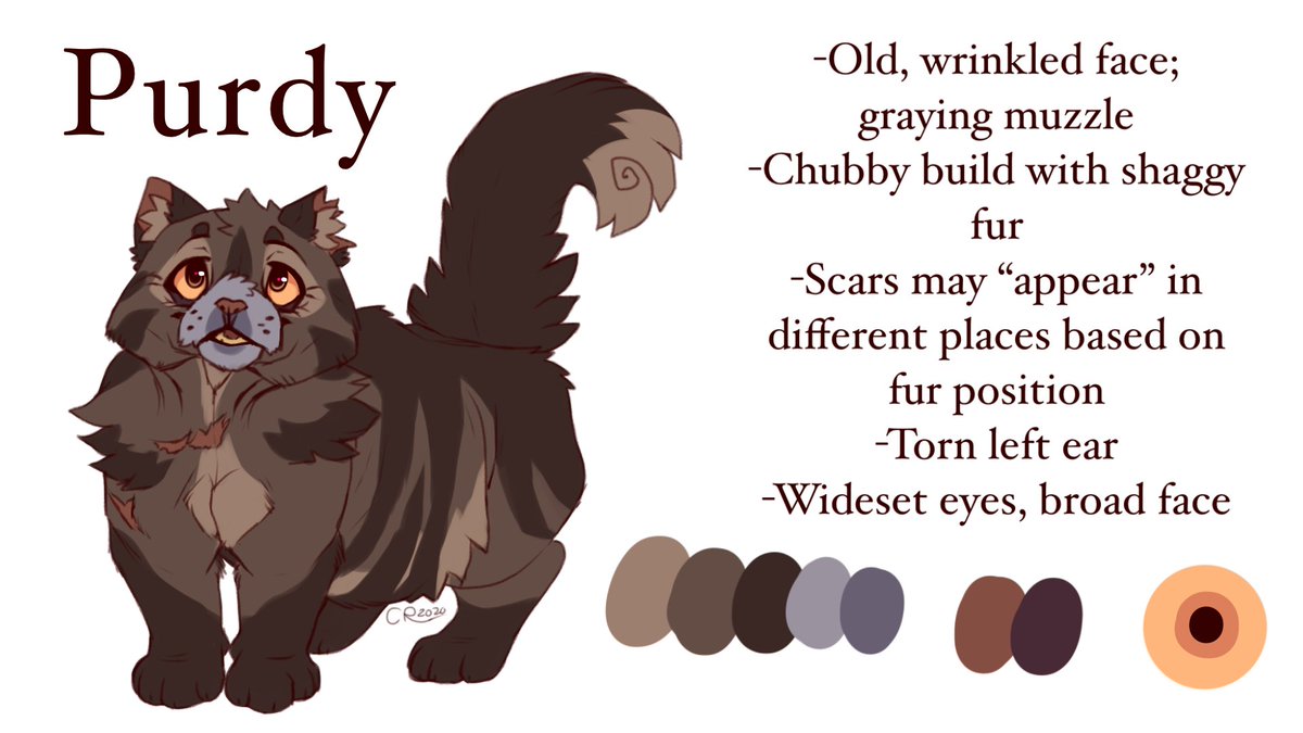 Warrior Cats Purdy