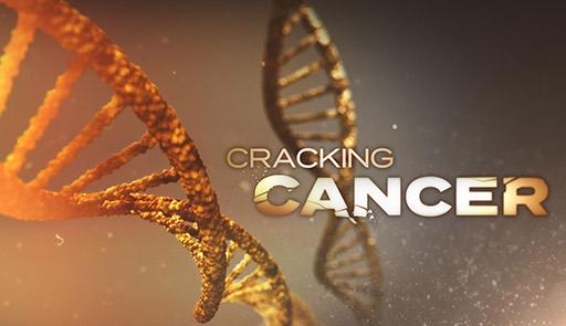 BC Cancer Foundation on Twitter: "WATCH: Tune in to @cbcdocs tonight ...