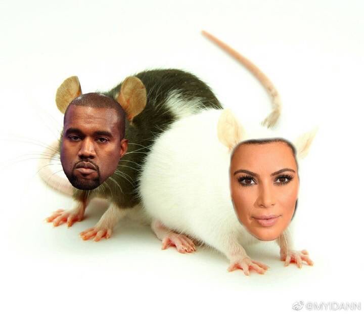 Ugly Rats