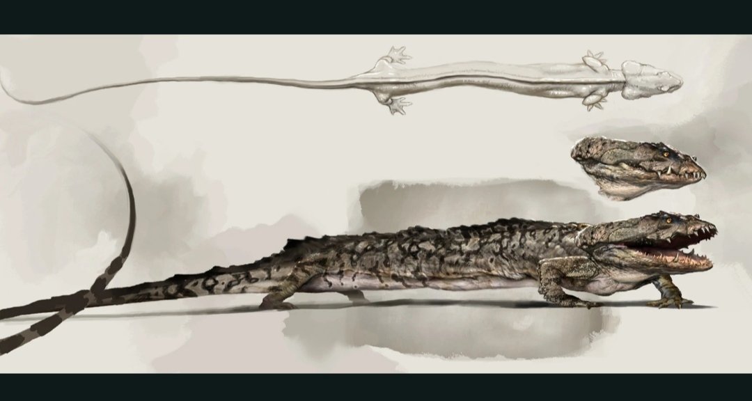 Primeval Labyrinthodont