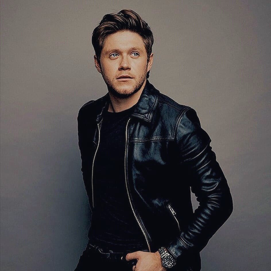 Niall Horan Icon