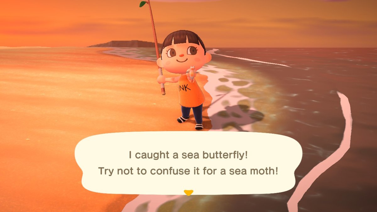 Sea Butterfly Animal Crossing