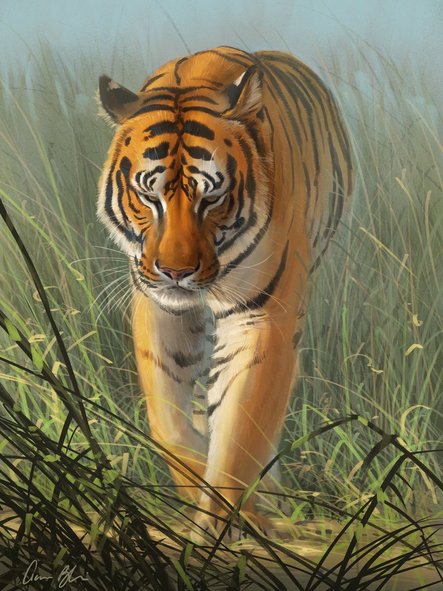 Twoucan - Aaron Blaise