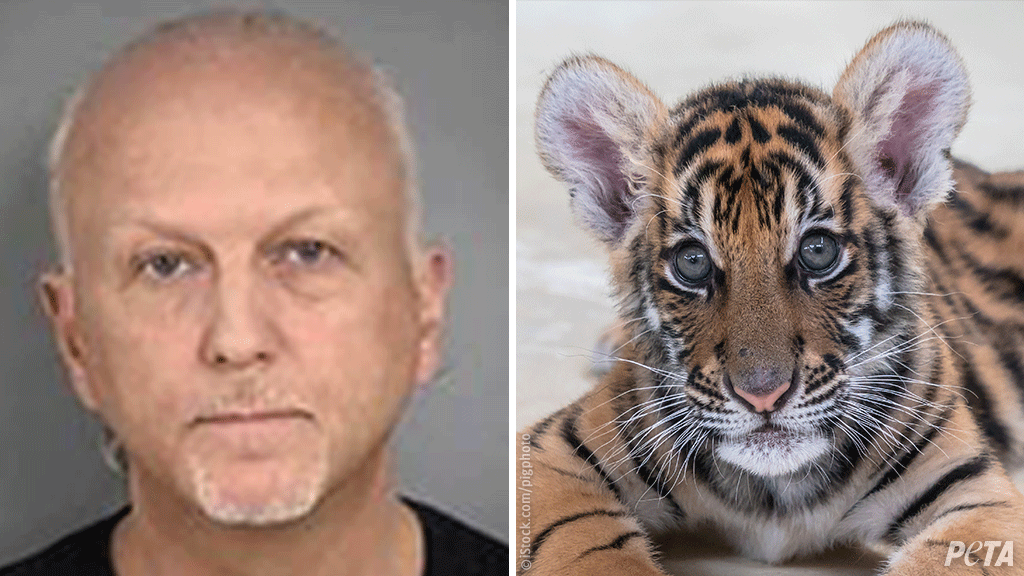 Samantha Fasulo's Instagram, Twitter & Facebook on IDCrawl