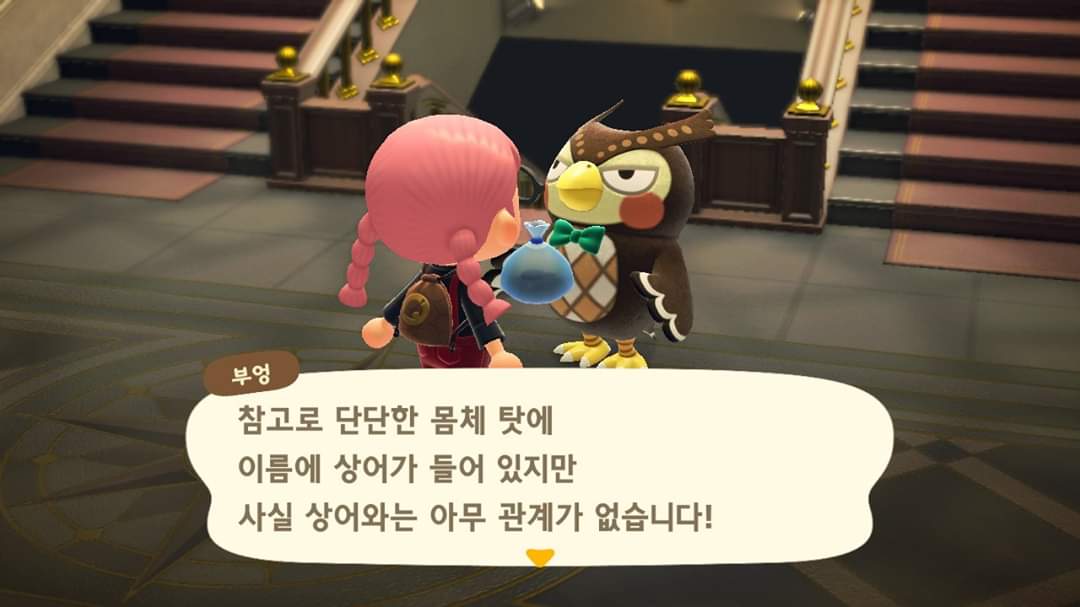 소영갱 on Twitter: "엥 #철갑상어 가... 상어가 아니었어?!😯…