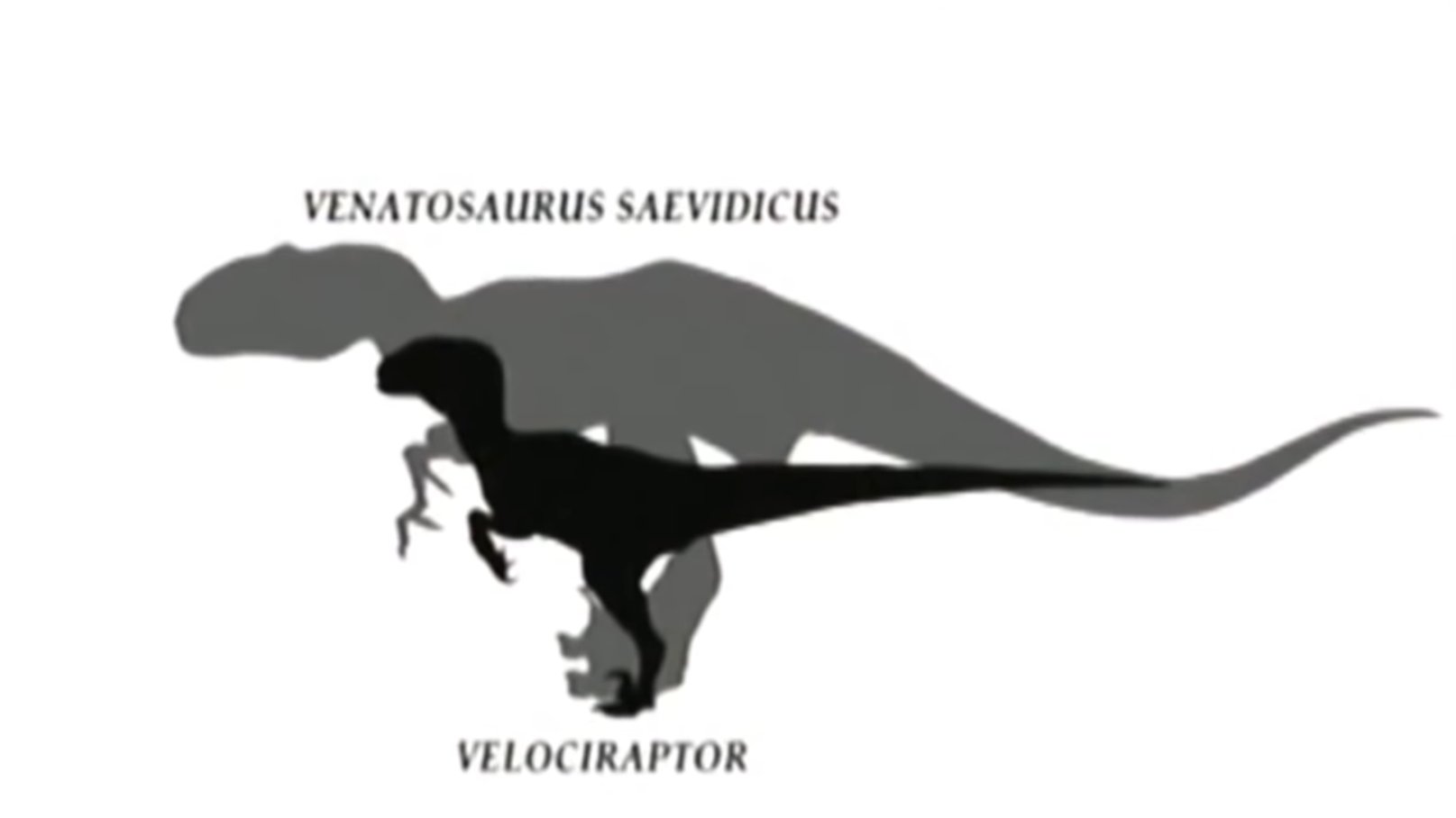 Venatosaurus Saevidicus