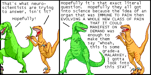 Dinosaur Meme Questions