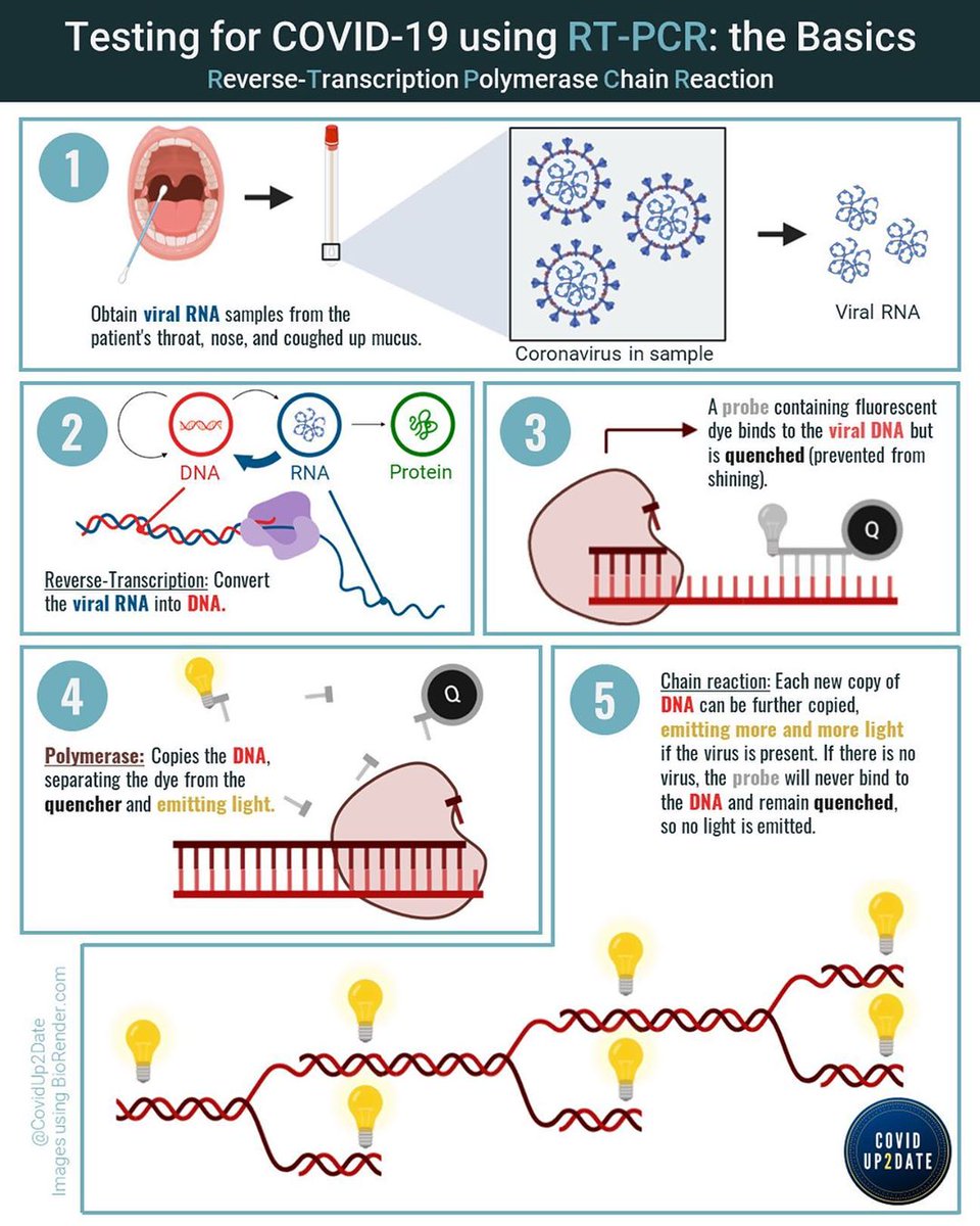 Knowledge Through Smartphone How Does PCR Test For, 44% OFF
