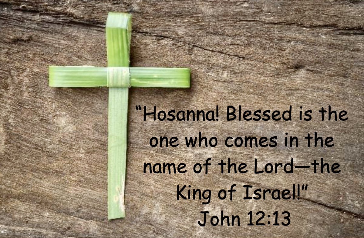 John 12:13 They Took Palm Branches And Went Out To Meet, 44% OFF