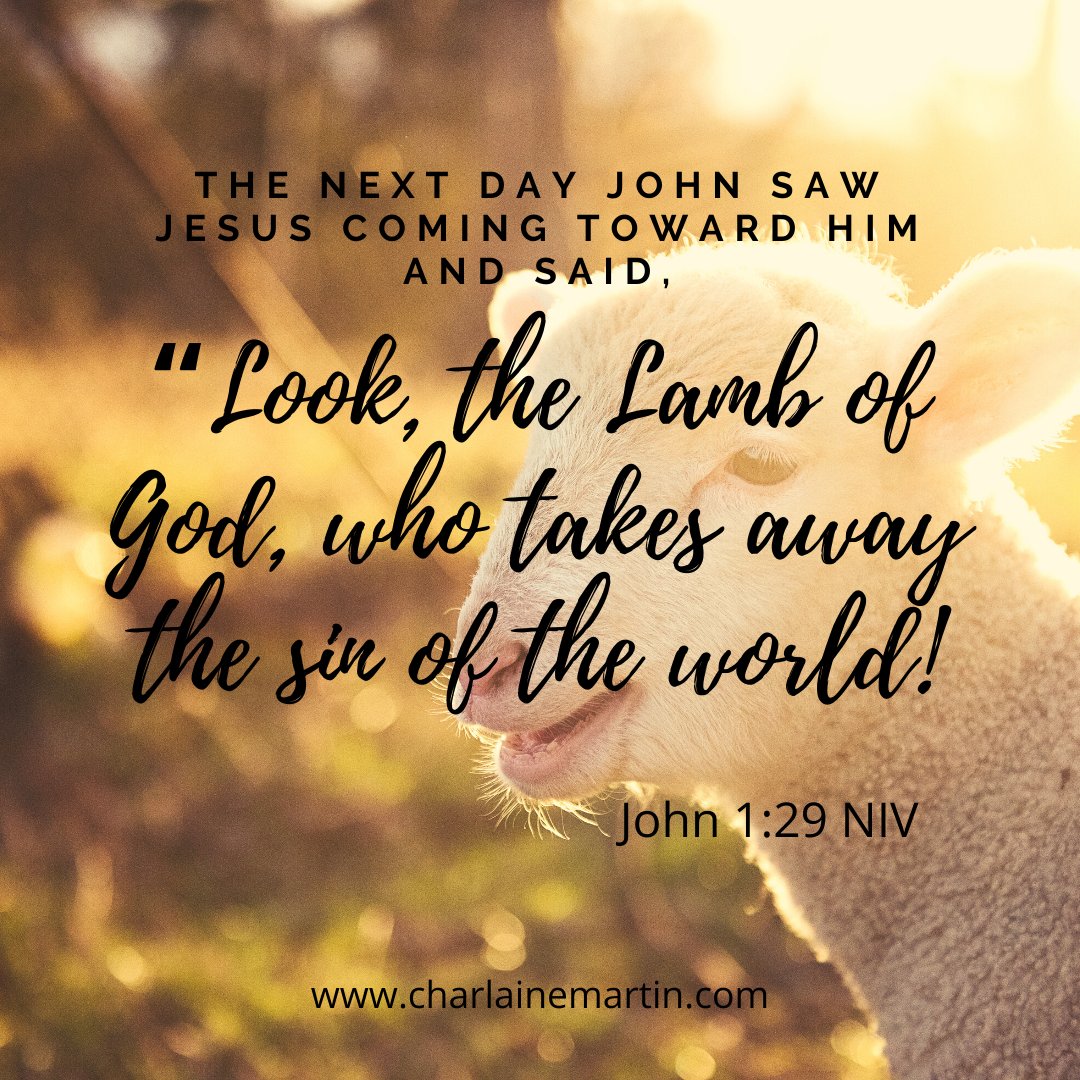 Bible Verse John 1 29