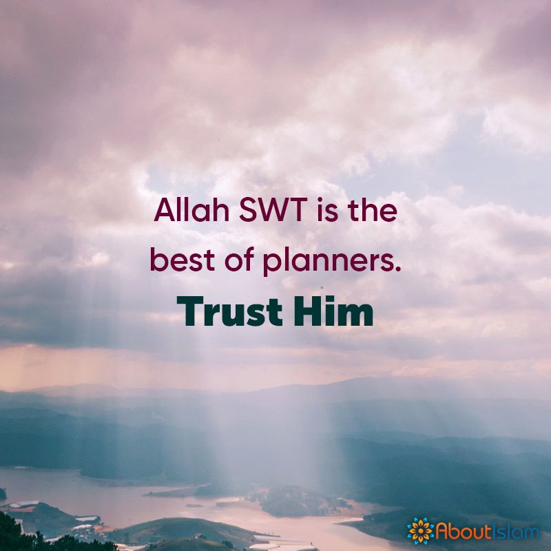 Trust Allah Quran Quotes Premium Vector | Put Your Trust In Allah
