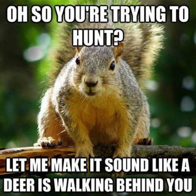 Deer Hunting Jokes For Adults