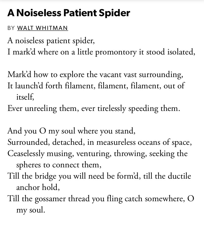 A Noiseless Patient Spider