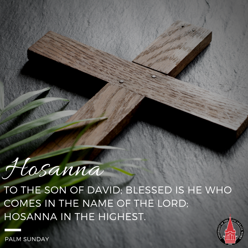 Hosanna In The Highest Palm Sunday